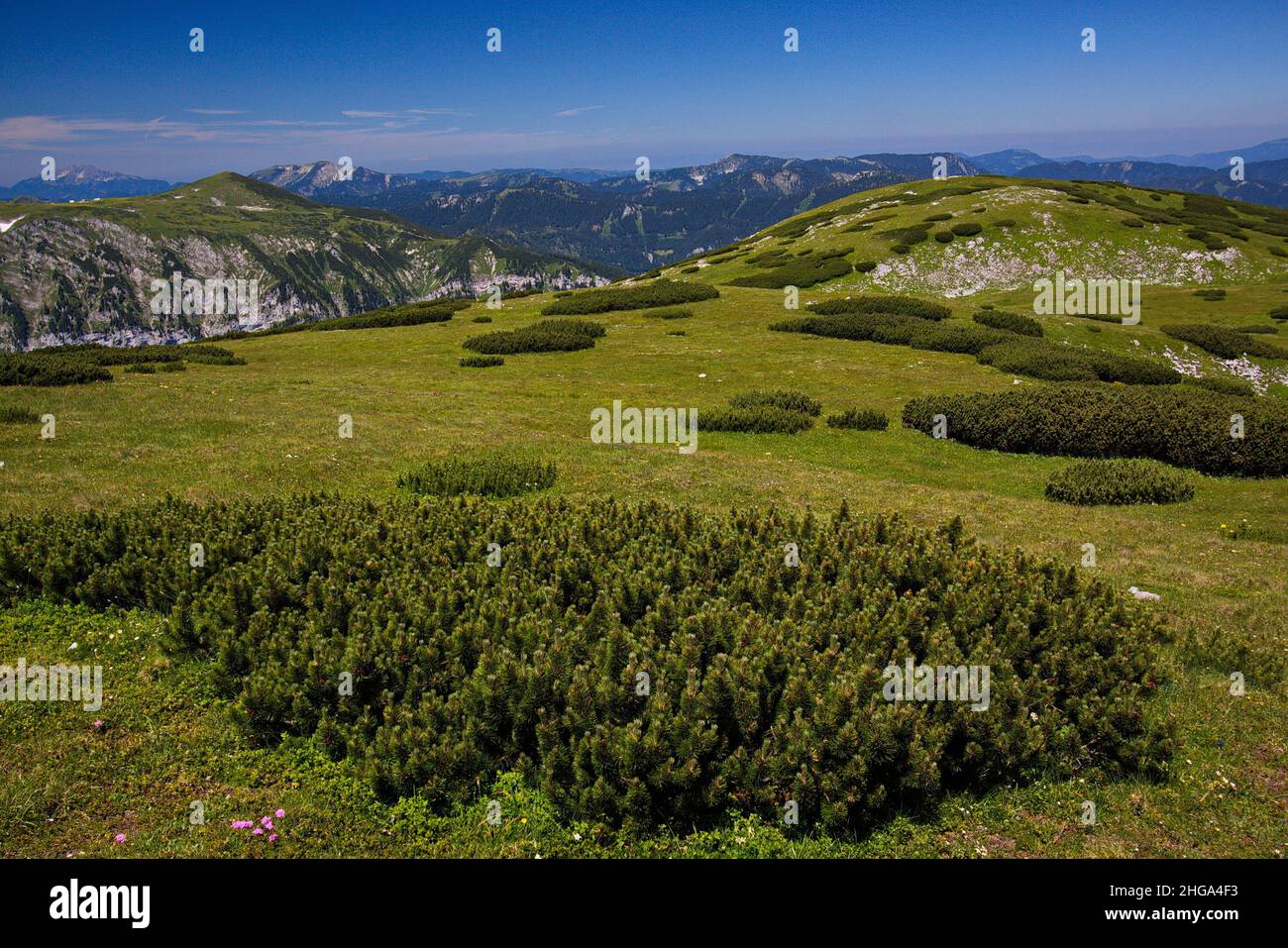 Landscape around Habsburg House on the Rax,Austria,Europe Stock Photo ...