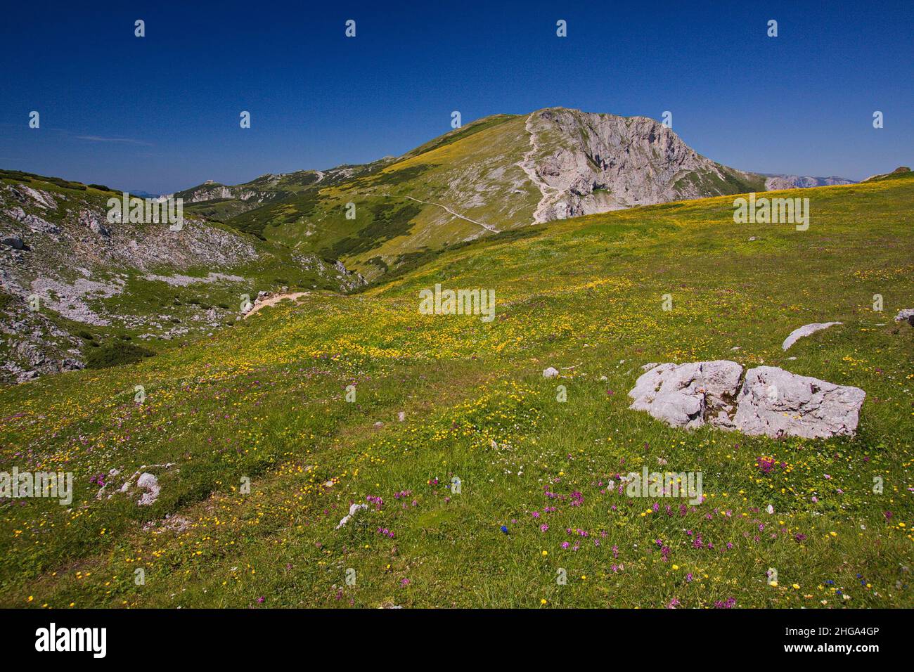 Landscape around Habsburg House on the Rax,Austria,Europe Stock Photo ...
