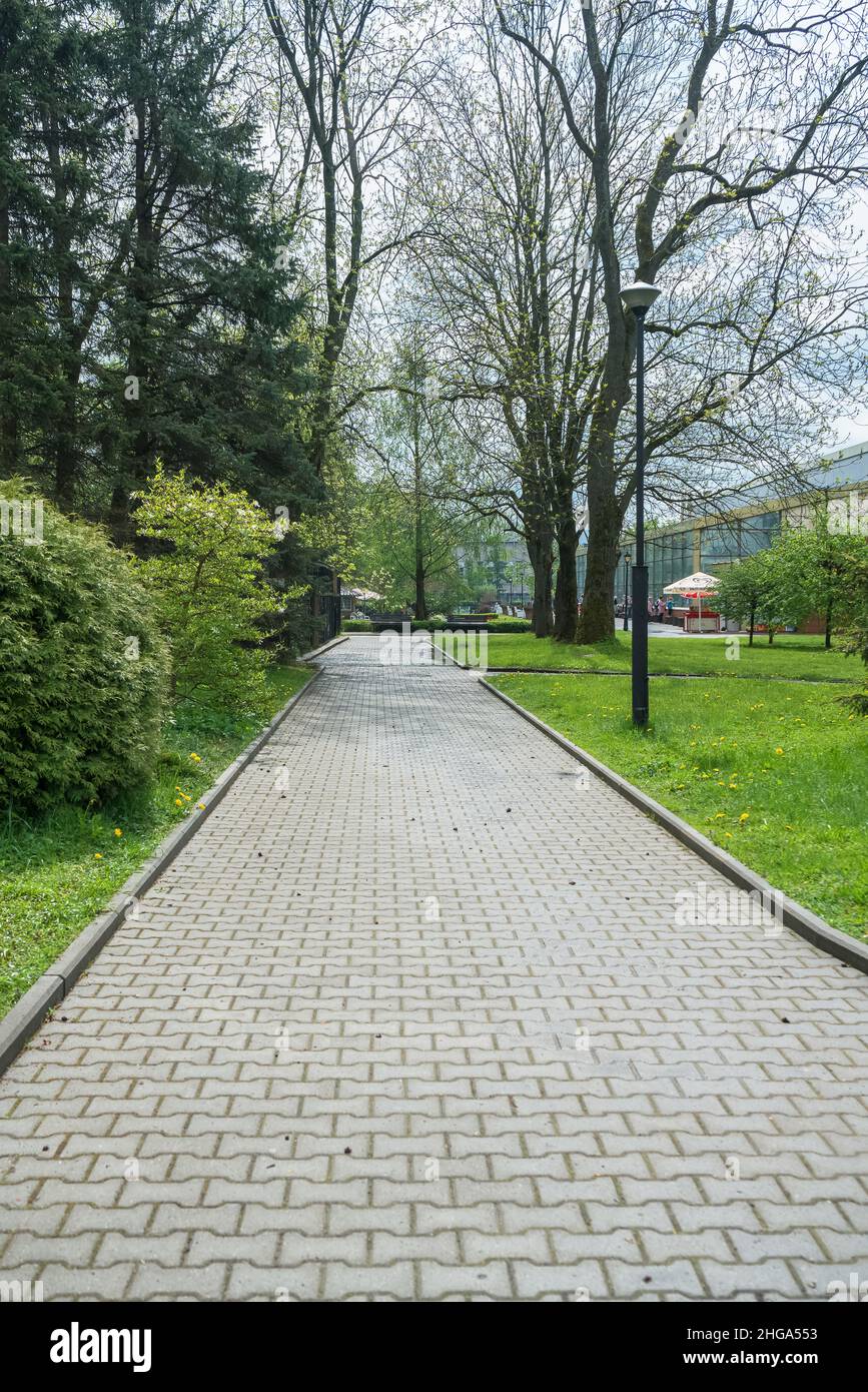 Kaliningrad Zoo High Resolution Stock Photography and Images - Alamy