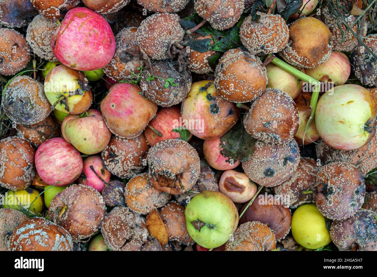 Unpleasant view hi-res stock photography and images - Alamy