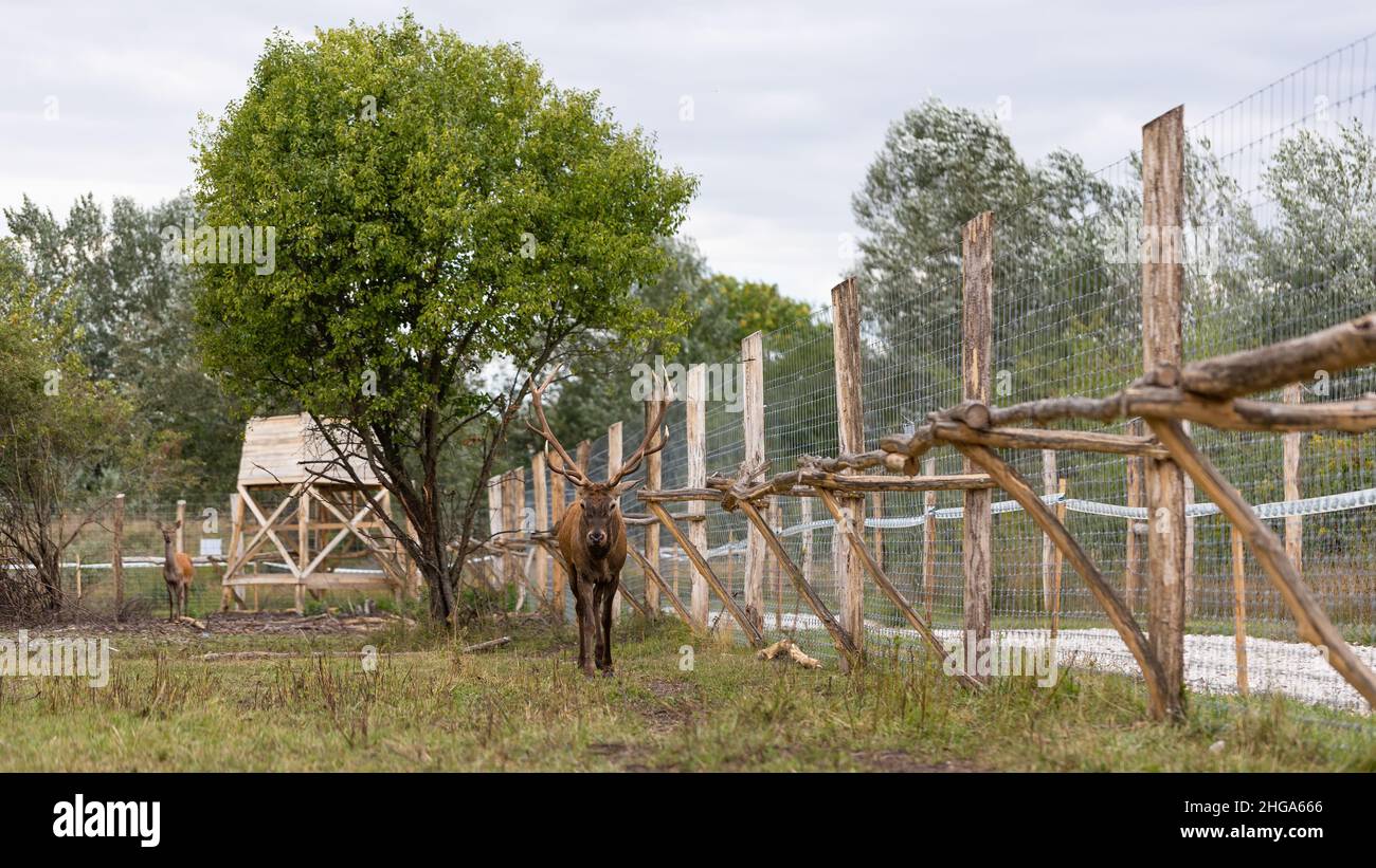 Game fence reserve hi-res stock photography and images - Alamy