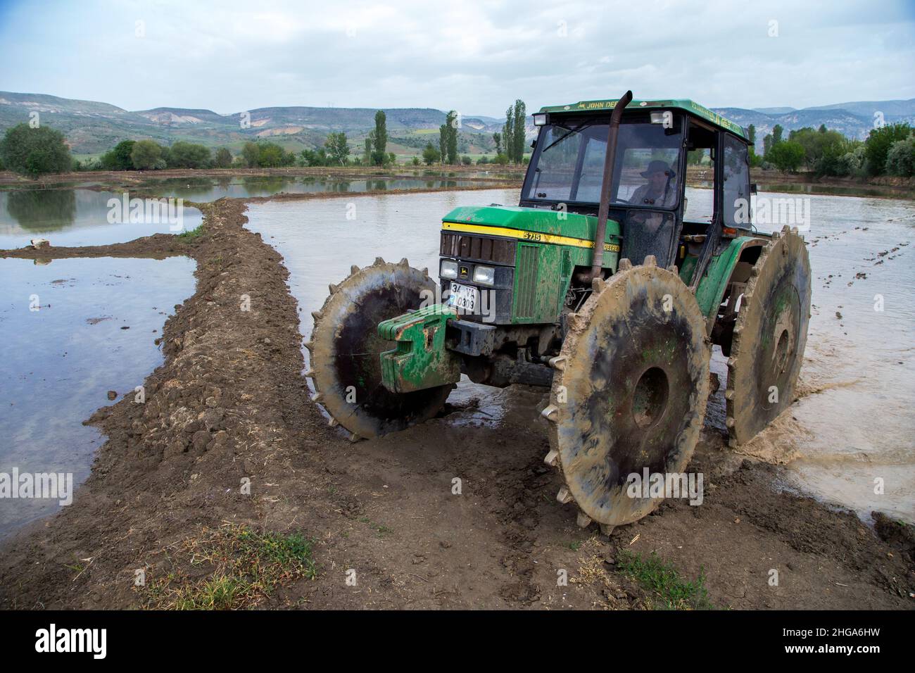 Tractor plowing rice paddy hi-res stock photography and images - Alamy