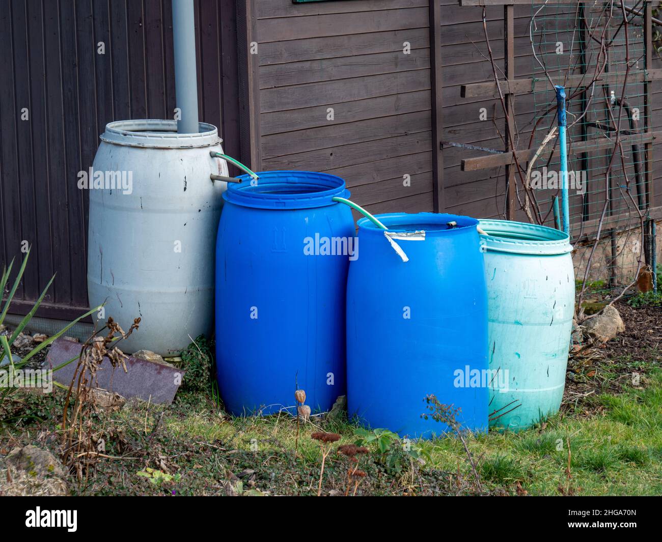 Water barrels in the garden Stock Photo - Alamy