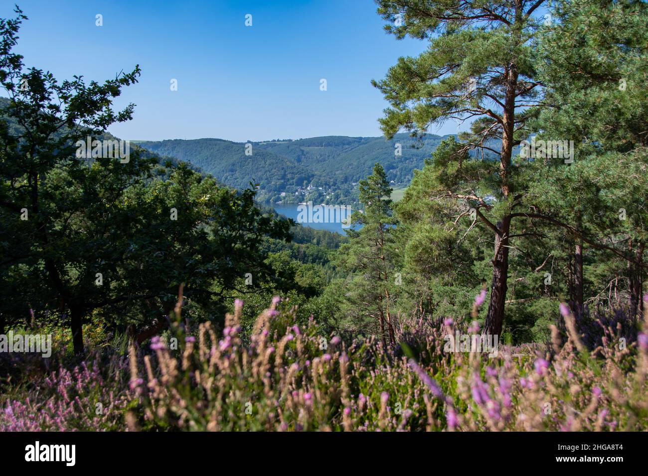 Wonderful landscape from the Engelsblick vantage point with a view of ...