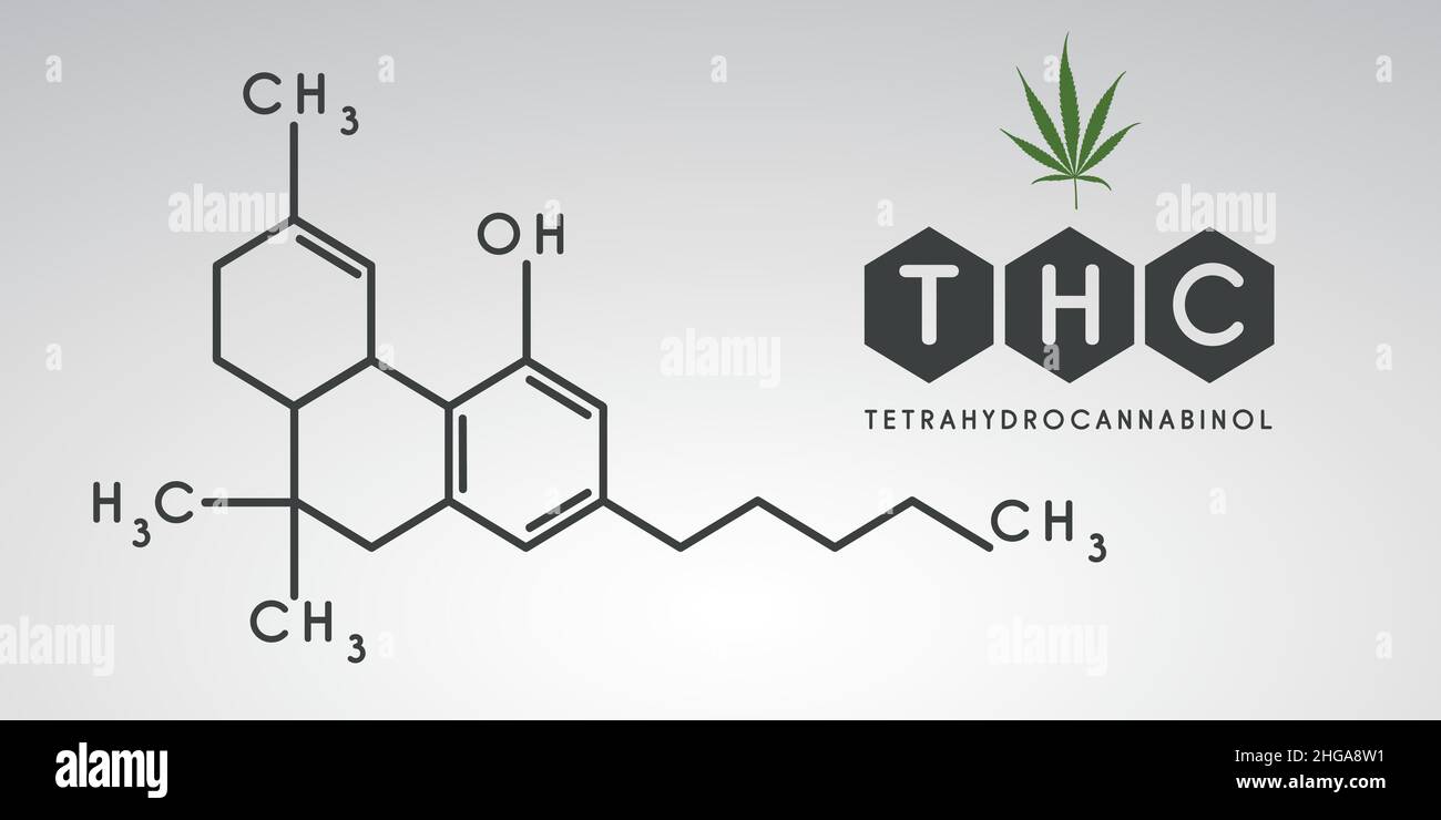 Thc Formula Tetrahydrocannabinol Molecule Structure Compound Medical