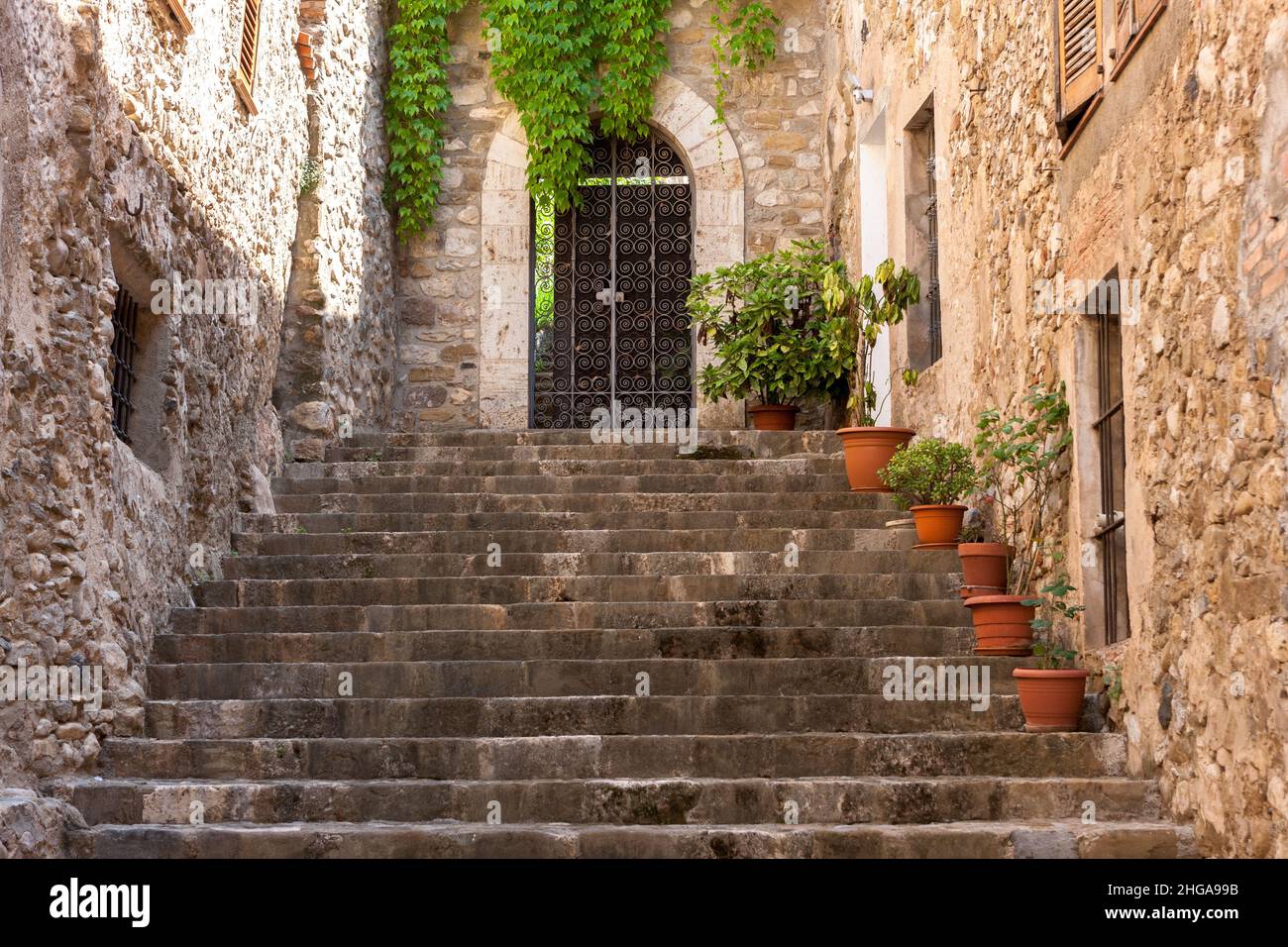 Old stone steps leading to an ornate metal gate and garden entrance ...
