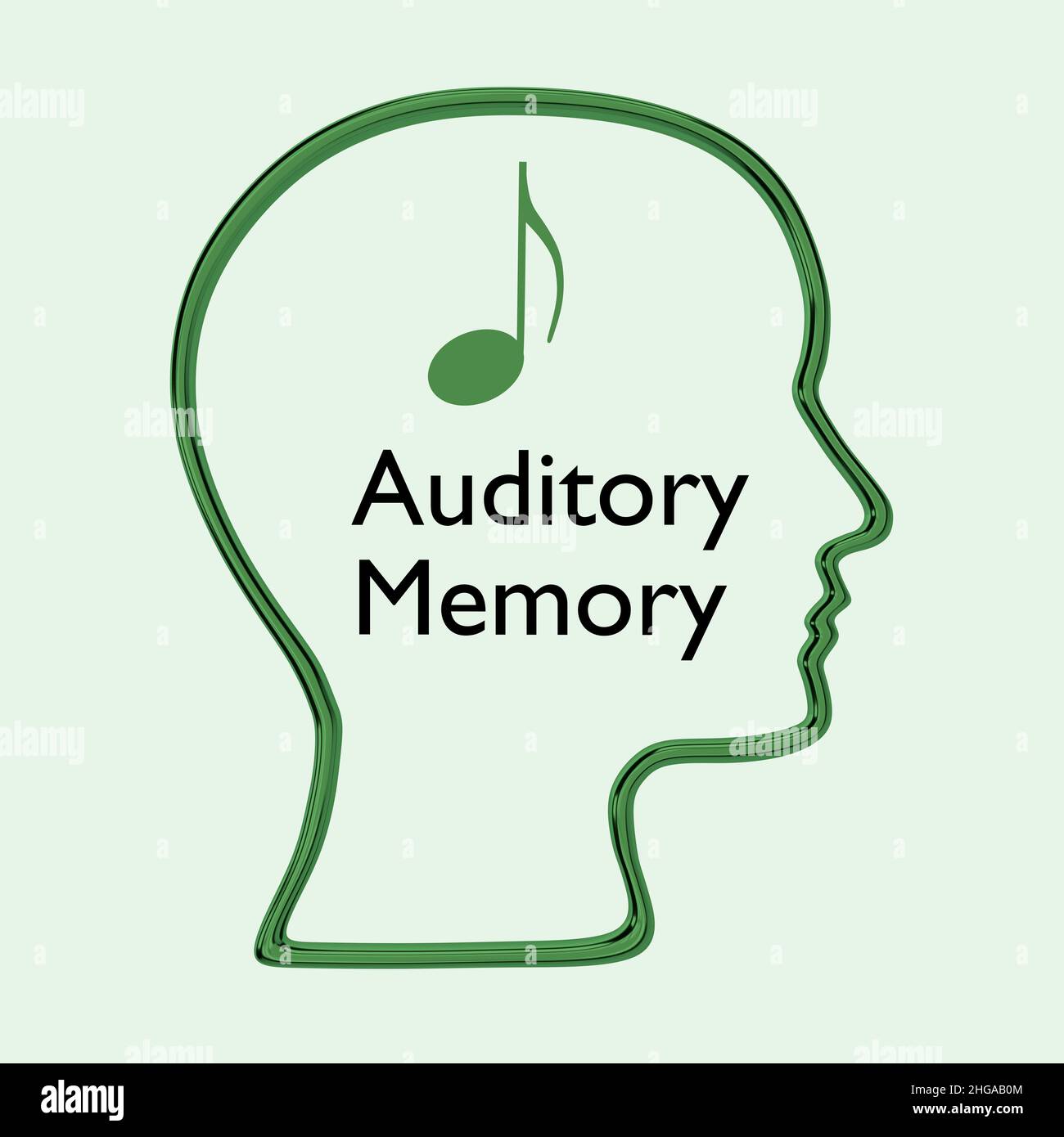 3D illustration of Auditory Memory script in a head silhouette with a ...