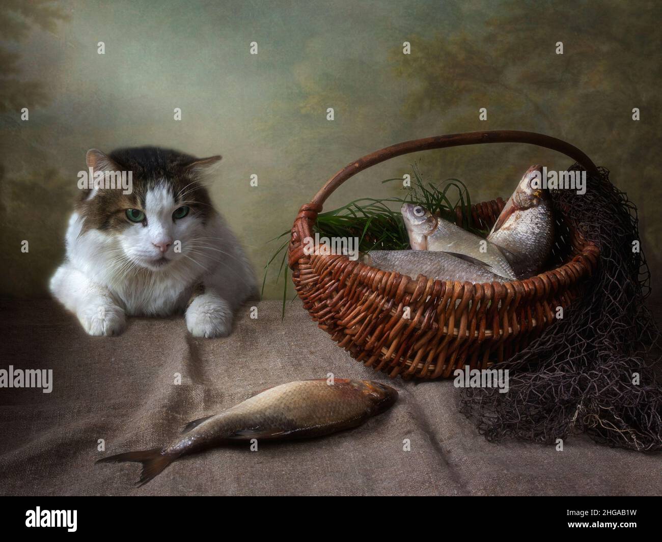 Cat small fish hi-res stock photography and images - Alamy