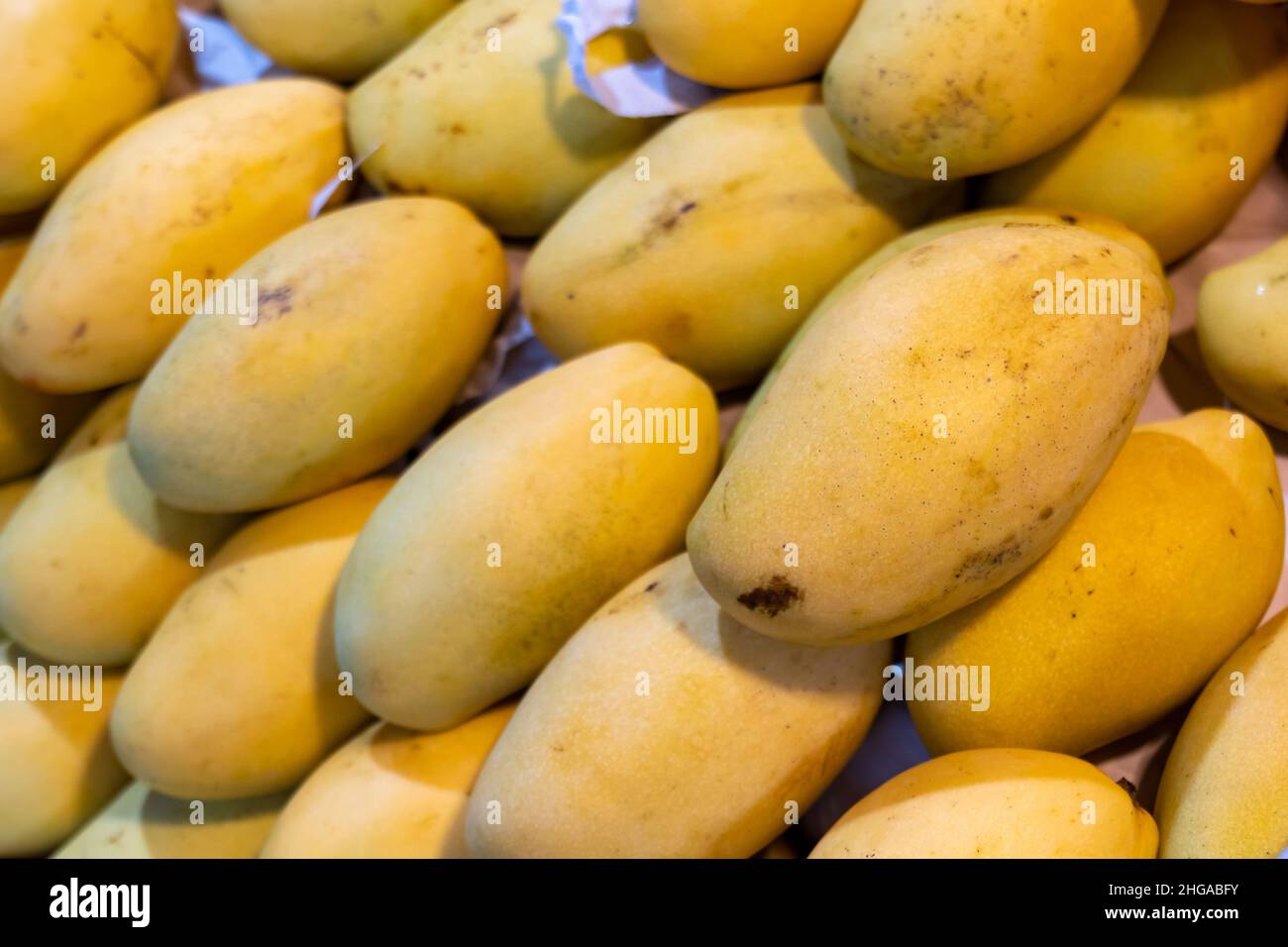 Mango, a photo of fresh yellow mango pile on market table. Ripe ...