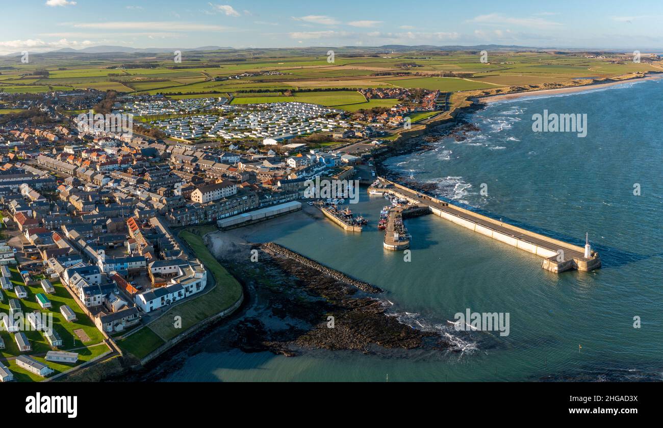 Aerial view from drone of Seahouses fishing harbour in Northumberland ...