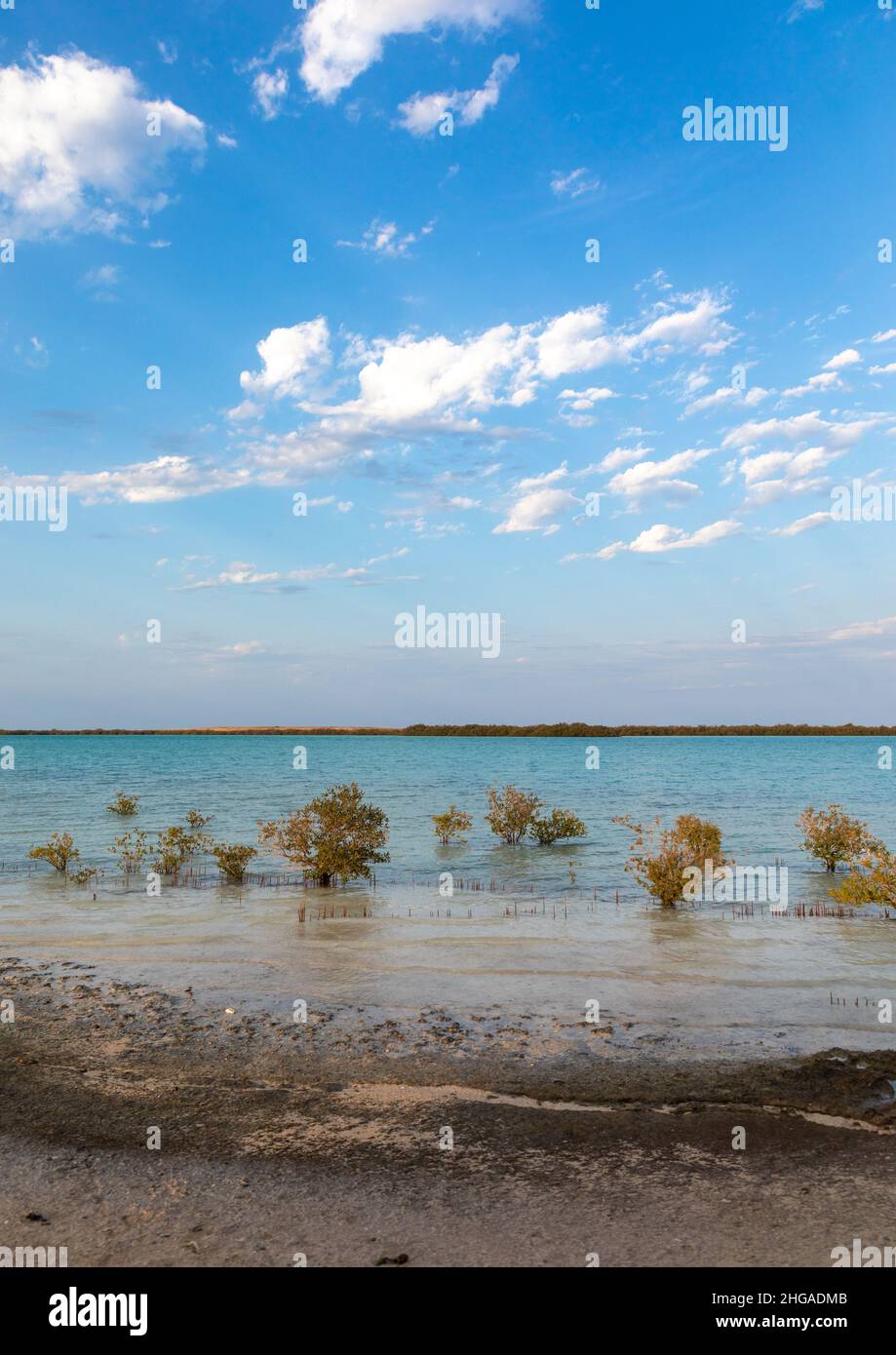 Jazan and beach hi-res stock photography and images - Alamy