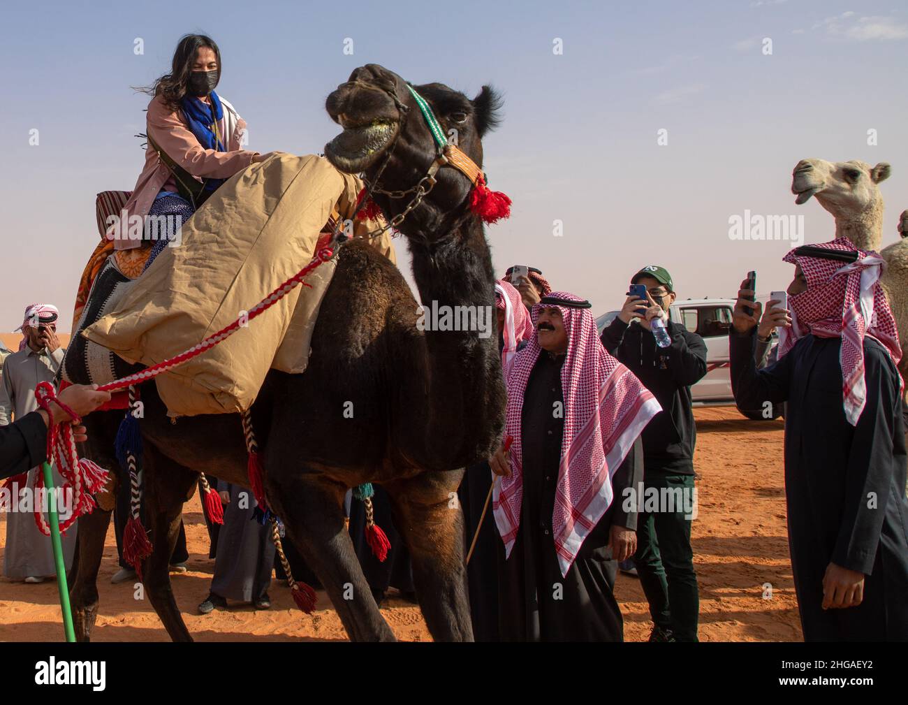 Tourist riding a camel during King Abdul Aziz Camel Festival, Riyadh ...
