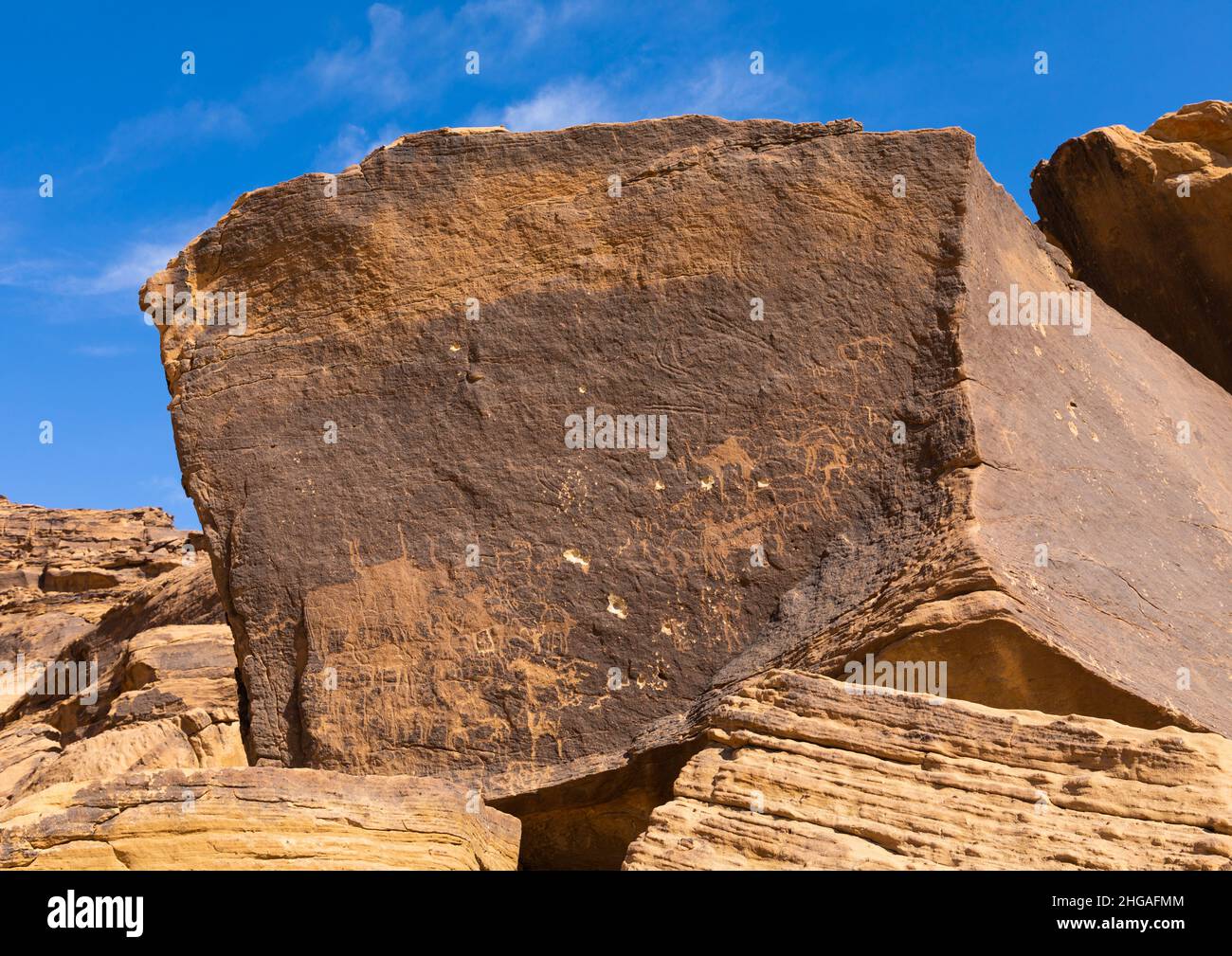 Petroglyphs on a rock depicting animals, Najran Province, Thar, Saudi ...