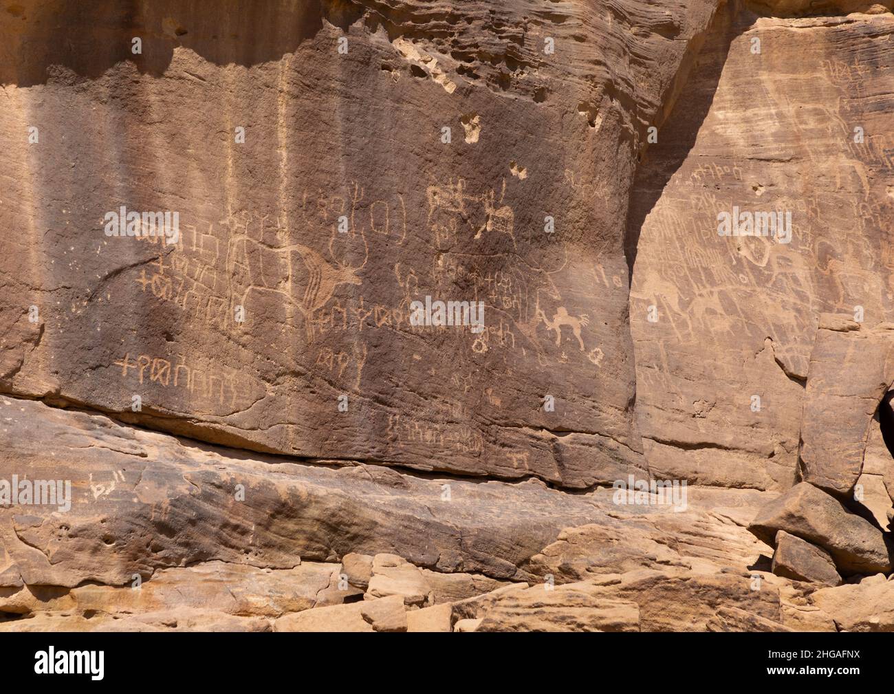 Prehistoric petroglyphs inscriptions bir hima hi-res stock photography ...