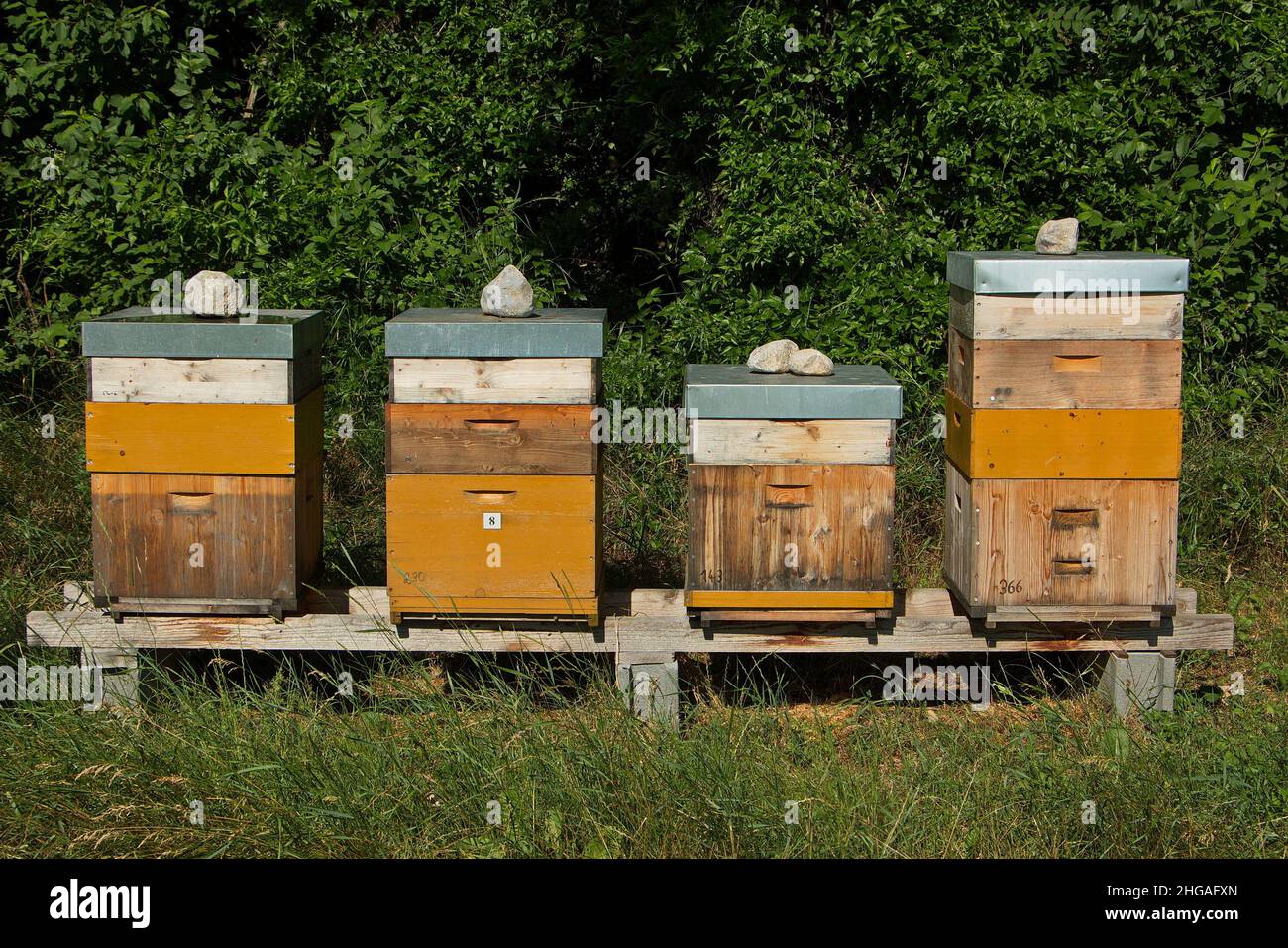 Austria europe bee beehive hi-res stock photography and images - Alamy