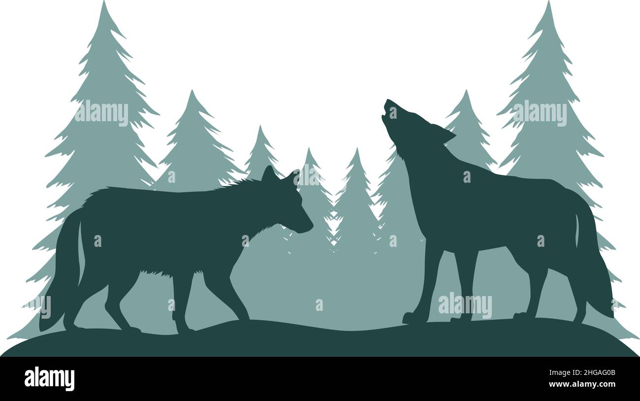 Wolves in nature Cut Out Stock Images & Pictures - Alamy