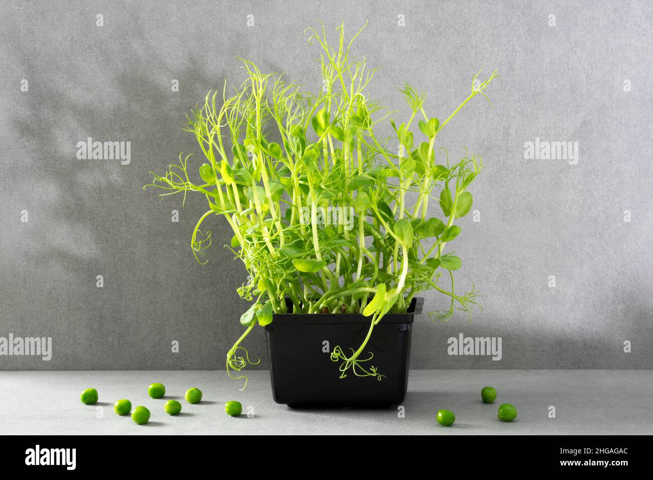 High protein vegetable hi-res stock photography and images - Alamy