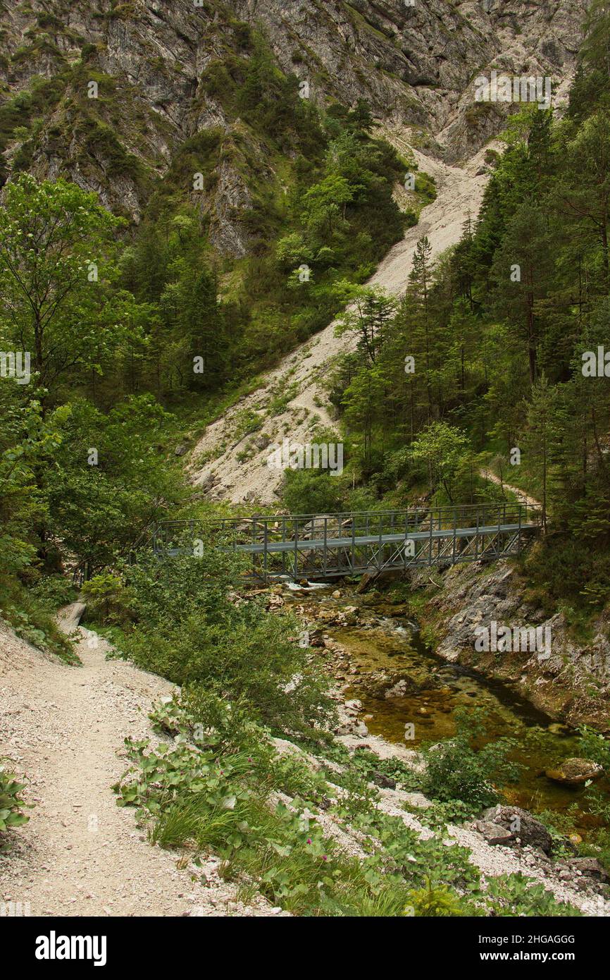 Footbridge over the river Erlauf in Oetschergraben near to the Oetscher ...