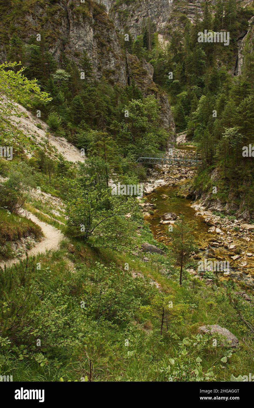 Footbridge over the river Erlauf in Oetschergraben near to the Oetscher ...