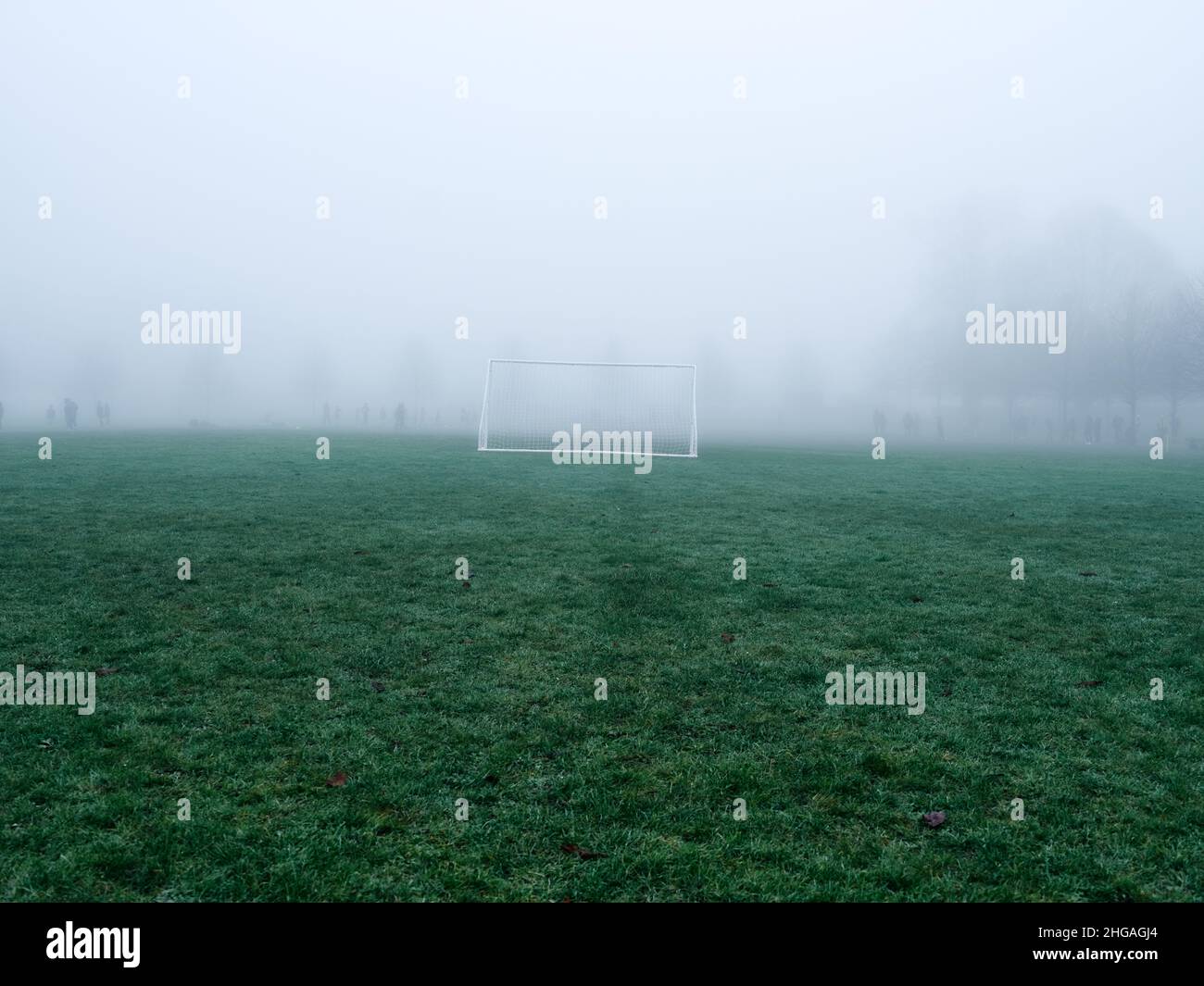 A lone football / soccer goal and grass on a foggy cold winter morning ...