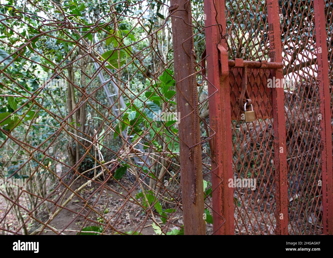 Al Kawbaa farm entrance locked, Jizan Province, Faifa Mountains, Saudi ...