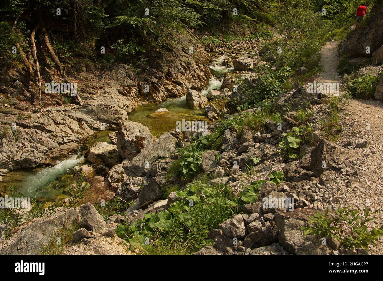Hiking trail in Oetschergraben near to the Oetscher in Austria,Europe ...