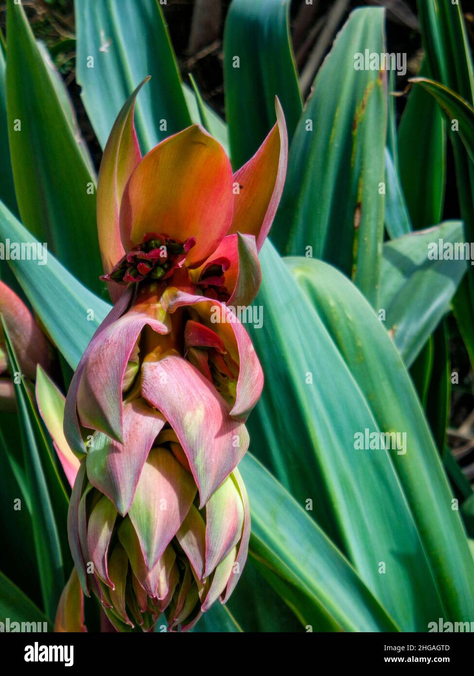 Choas, abstract patterns and textures in nature and the environment ...