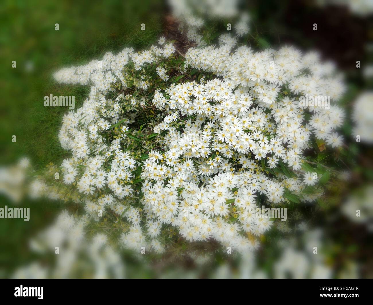 Choas, abstract patterns and textures in nature and the environment ...