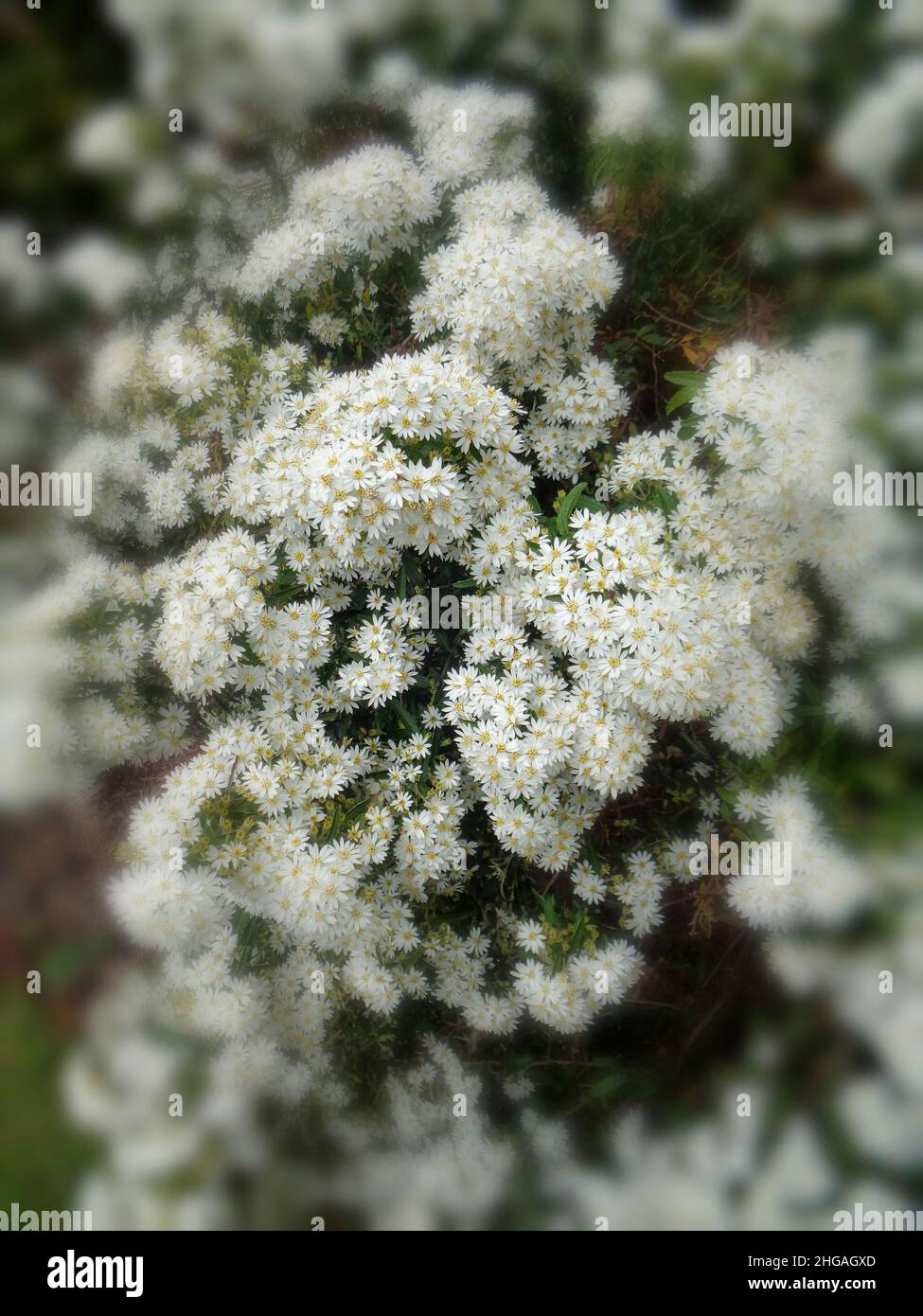 Choas, abstract patterns and textures in nature and the environment ...