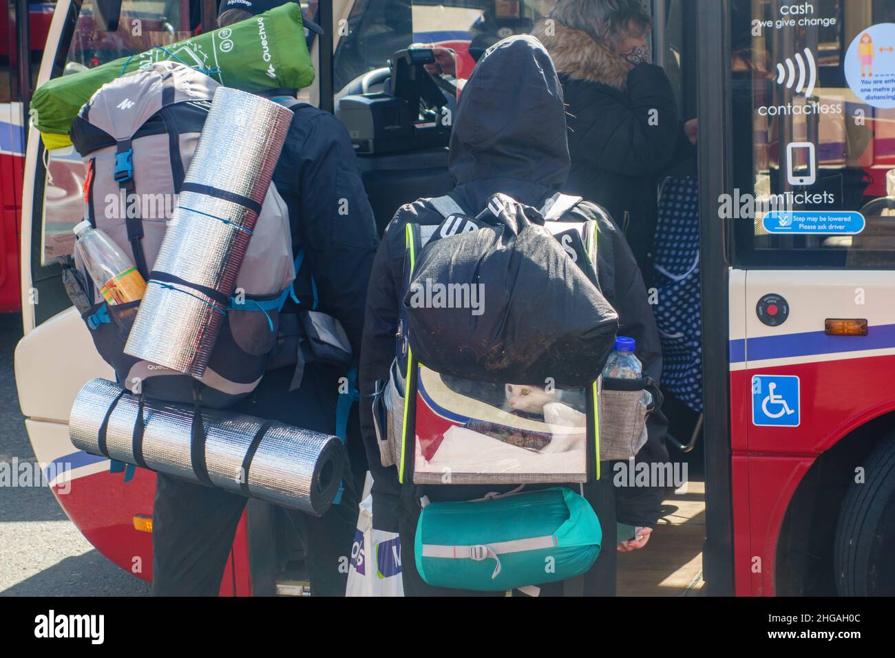 Cat travelling in backpack with owners and camping gear boarding bus in ...