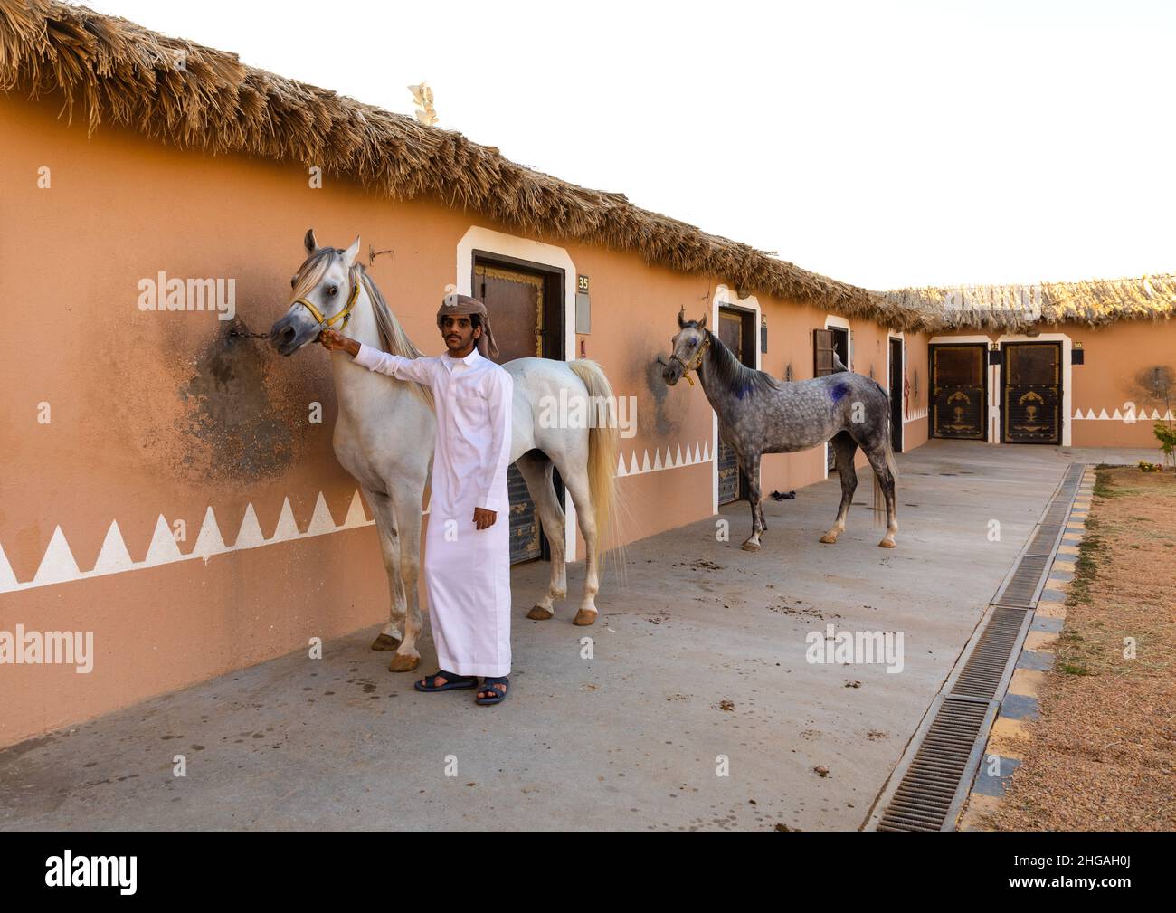 Saudi man with Arabian horses in Alhazm stud, Najran Province, Khubash ...