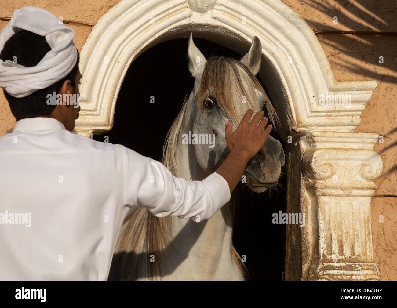 Saudi man with Arabian horse in Alhazm stud, Najran Province, Khubash ...