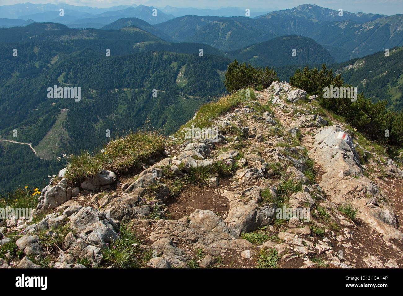 Oetscher valley hi-res stock photography and images - Alamy