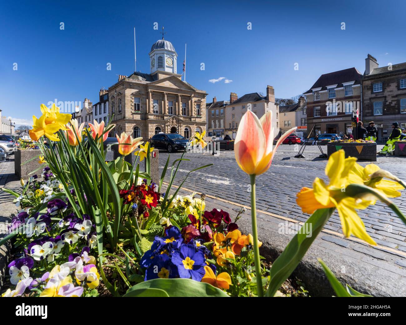 April flowers in Kelso town square, Scotland, with town hall - the ...