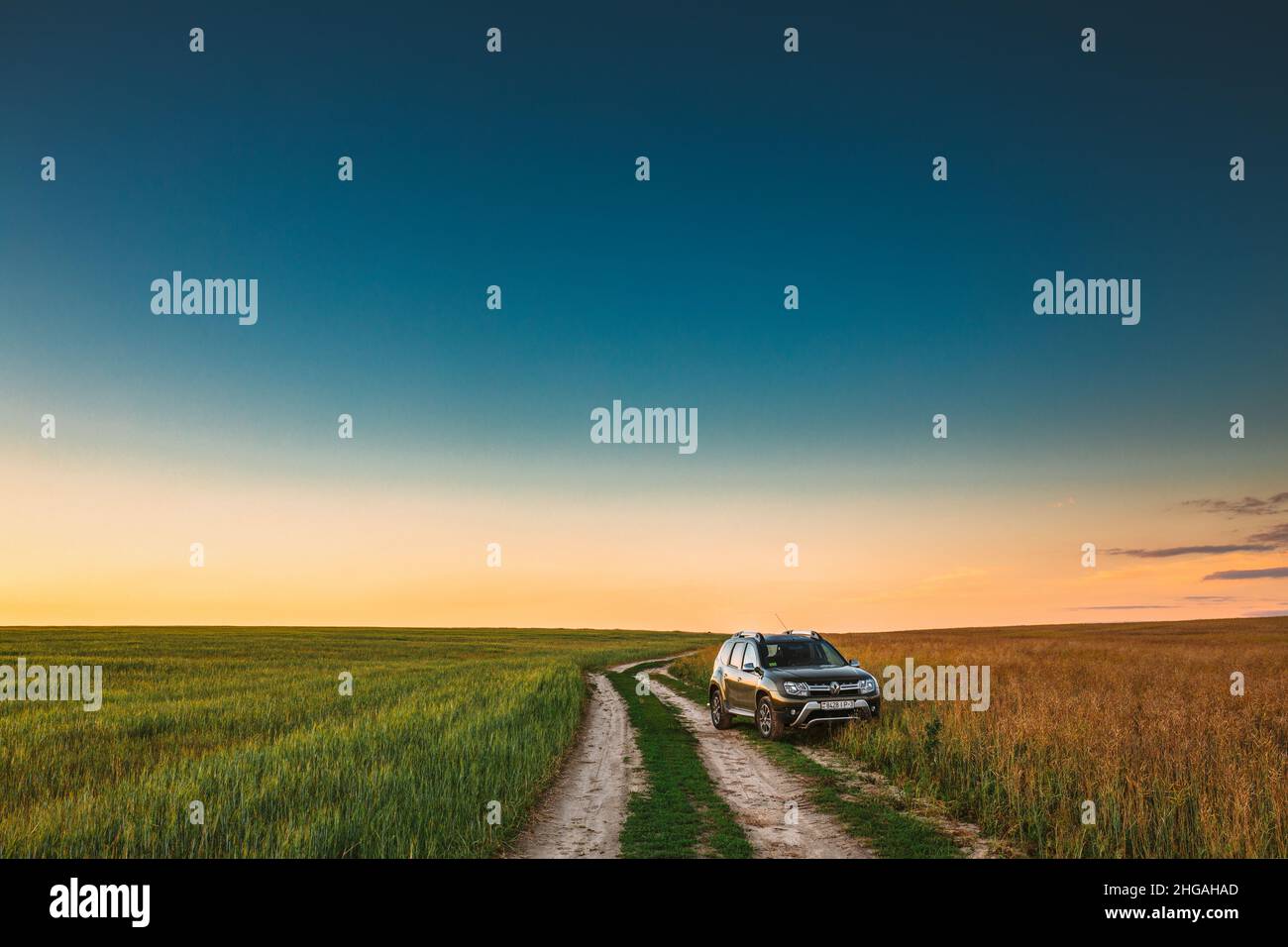 Renault Duster or Dacia Duster SUV in summer wheat field countryside ...