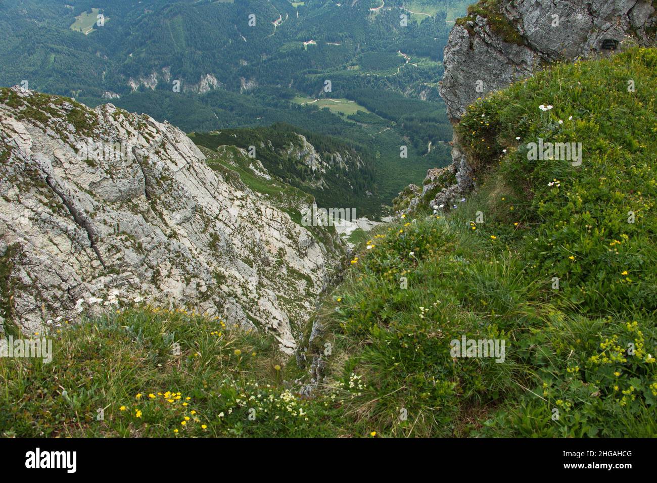 Oetscher valley hi-res stock photography and images - Alamy