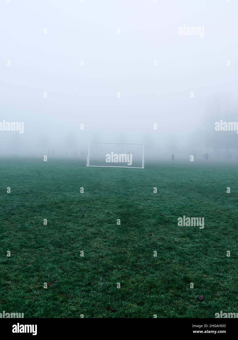 A lone football / soccer goal and grass on a foggy cold winter morning ...