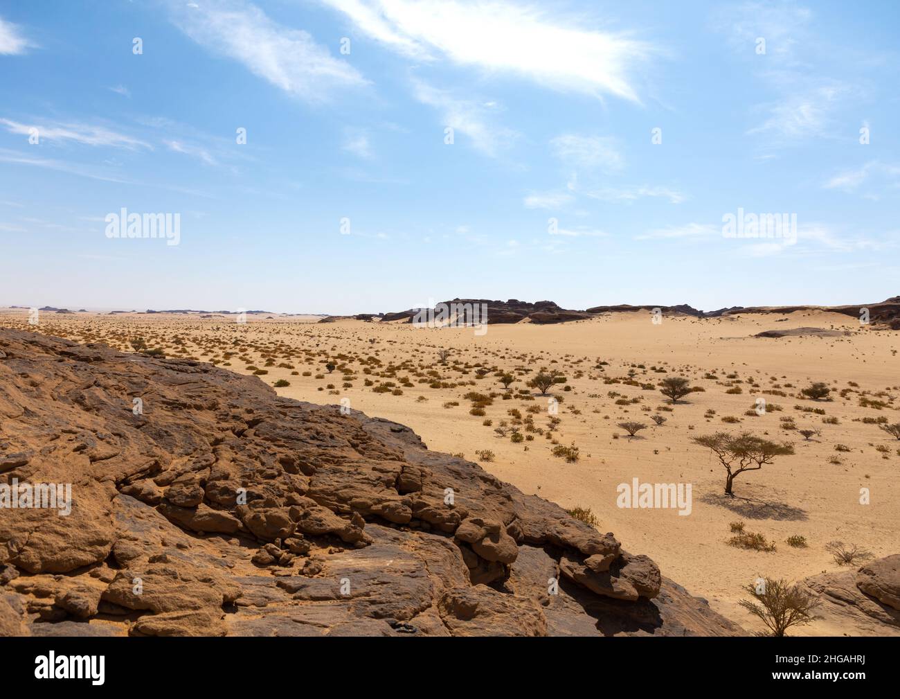 Dry landscape in the desert, Najran Province, Thar, Saudi Arabia Stock ...