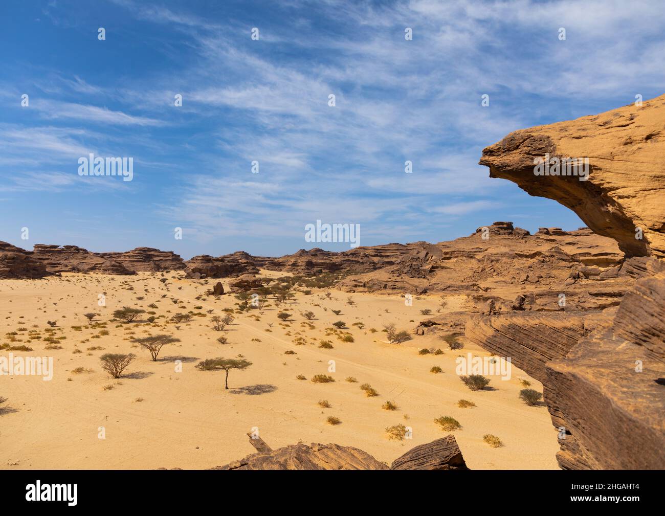 Dry landscape in the desert, Najran Province, Thar, Saudi Arabia Stock ...