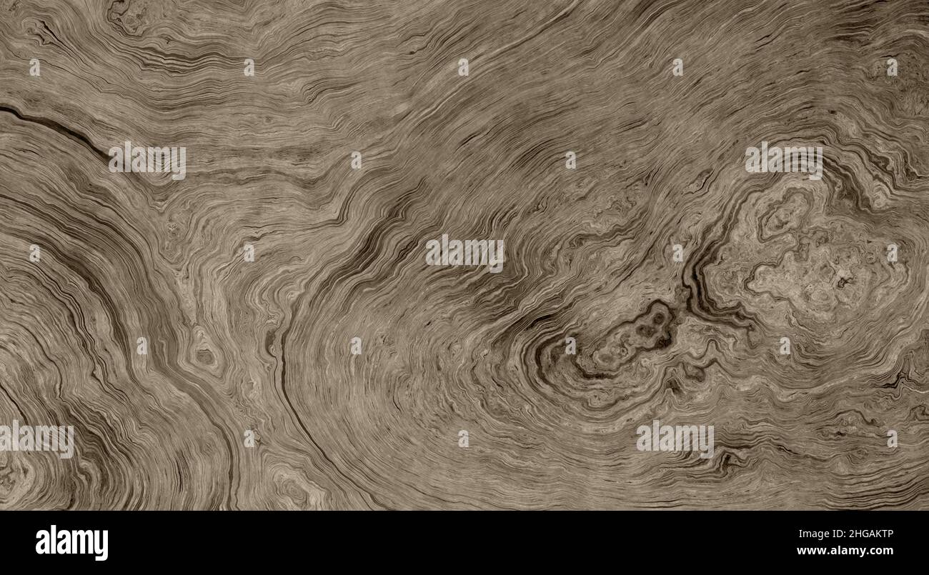Pattern of wood structure with wavy lines and age rings. Abstract ...