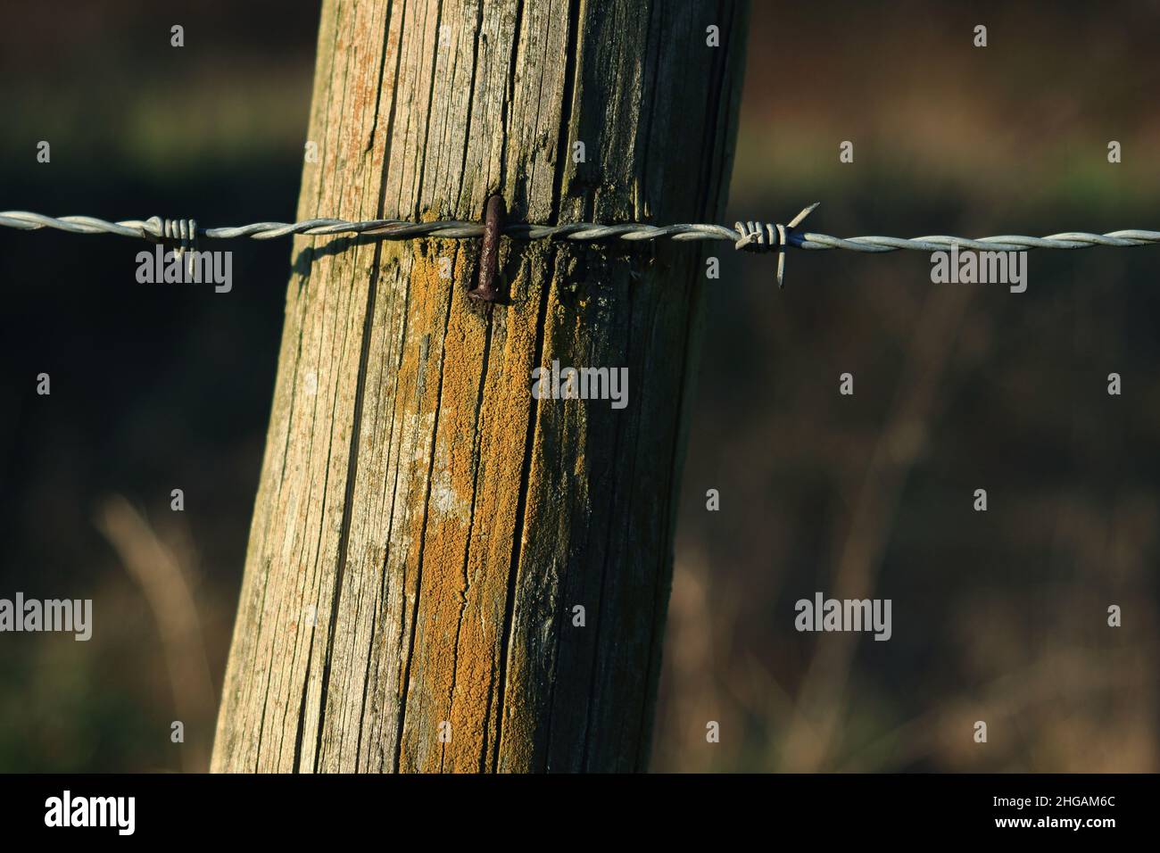 Wooden pole and rusty barbed wire Stock Photo - Alamy