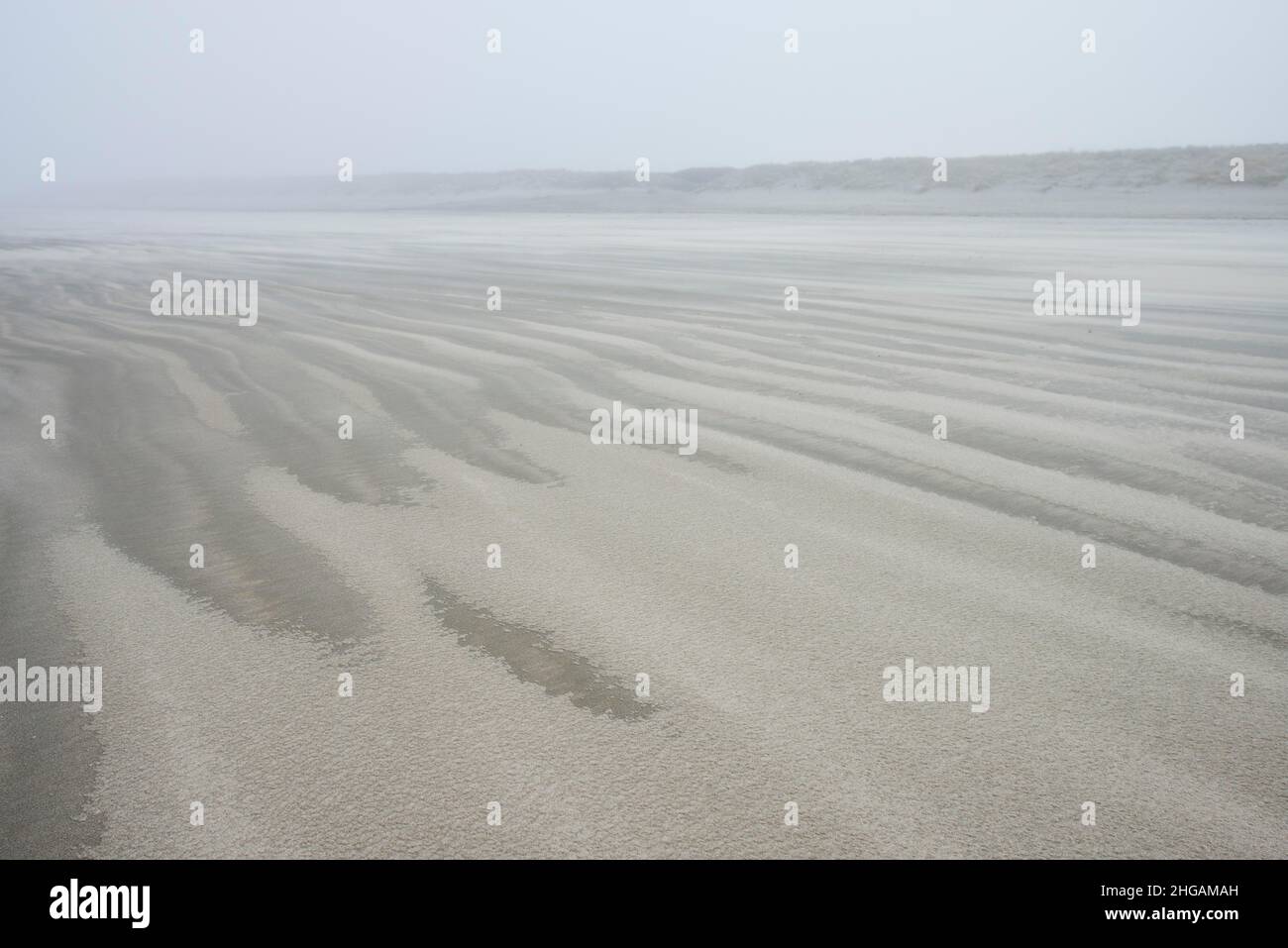 Fog and drifting sand on the beach, Langeoog, Lower Saxony, Germany ...