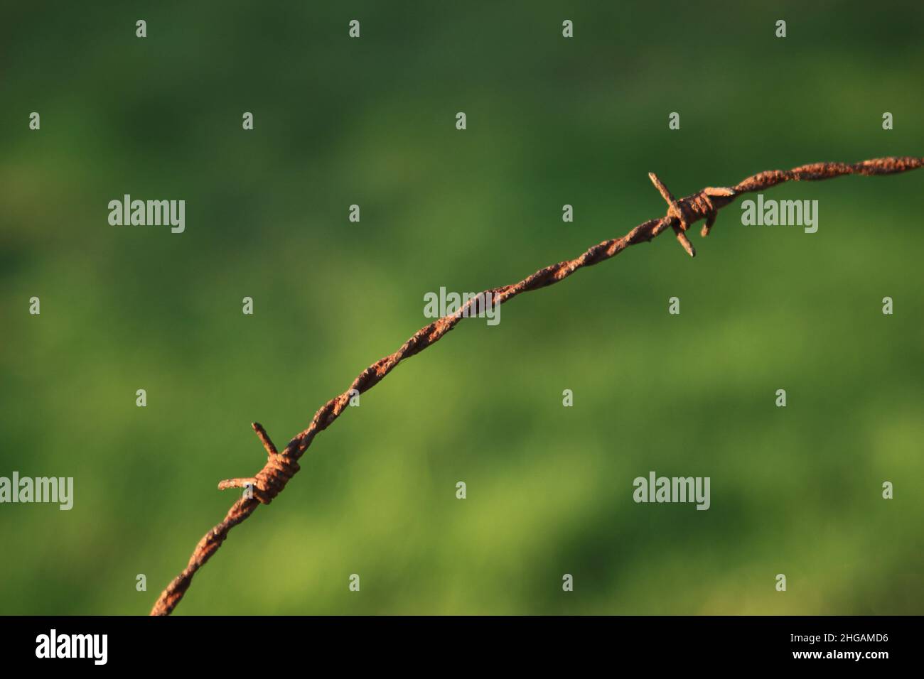 Wooden pole and rusty barbed wire Stock Photo - Alamy