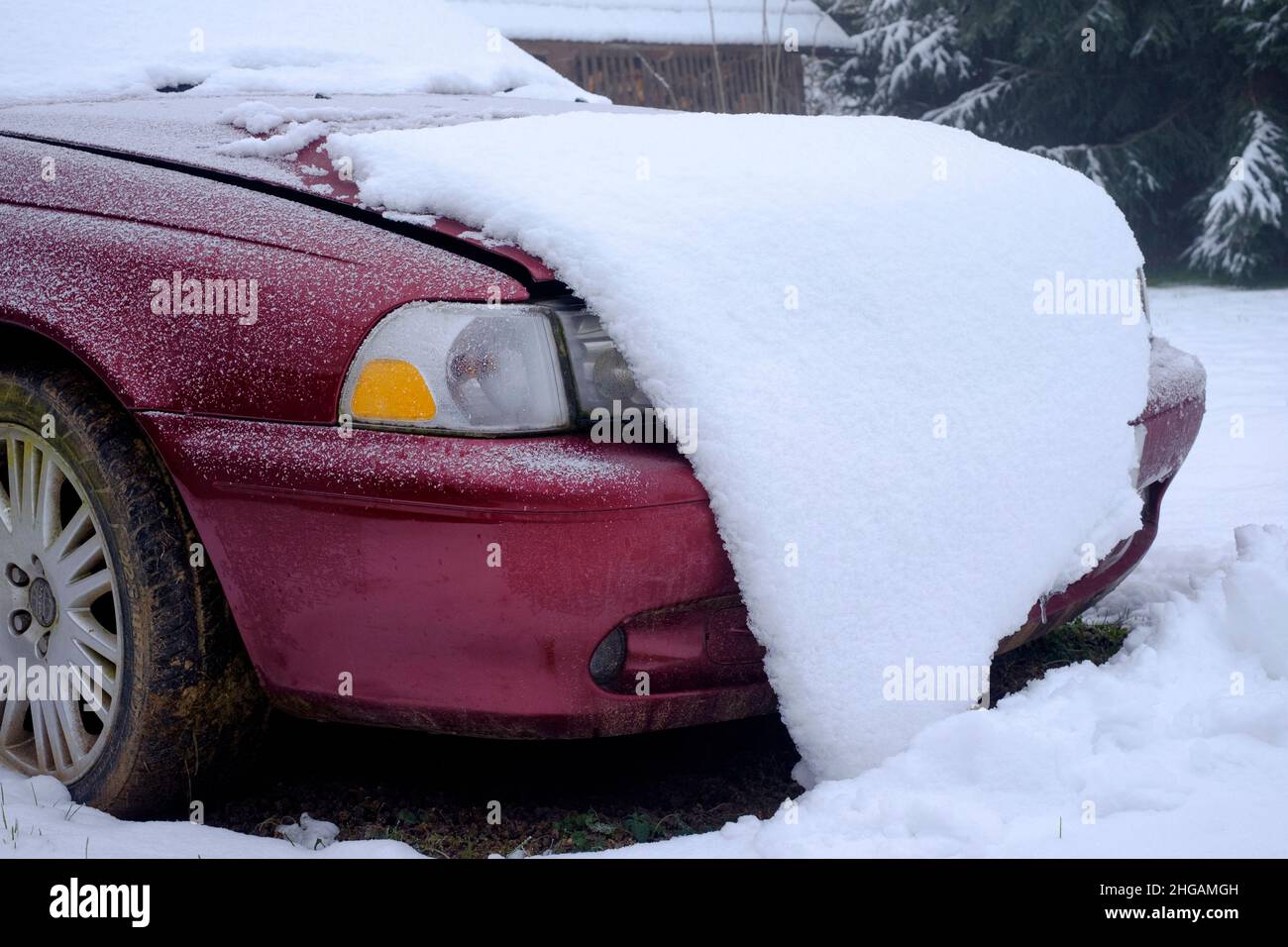 blanket of snow that has partially thawed and slid down car bonnet ...