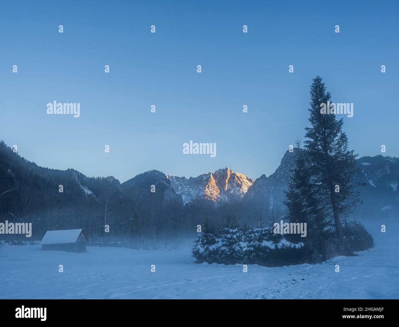 Oedstein group hi-res stock photography and images - Alamy