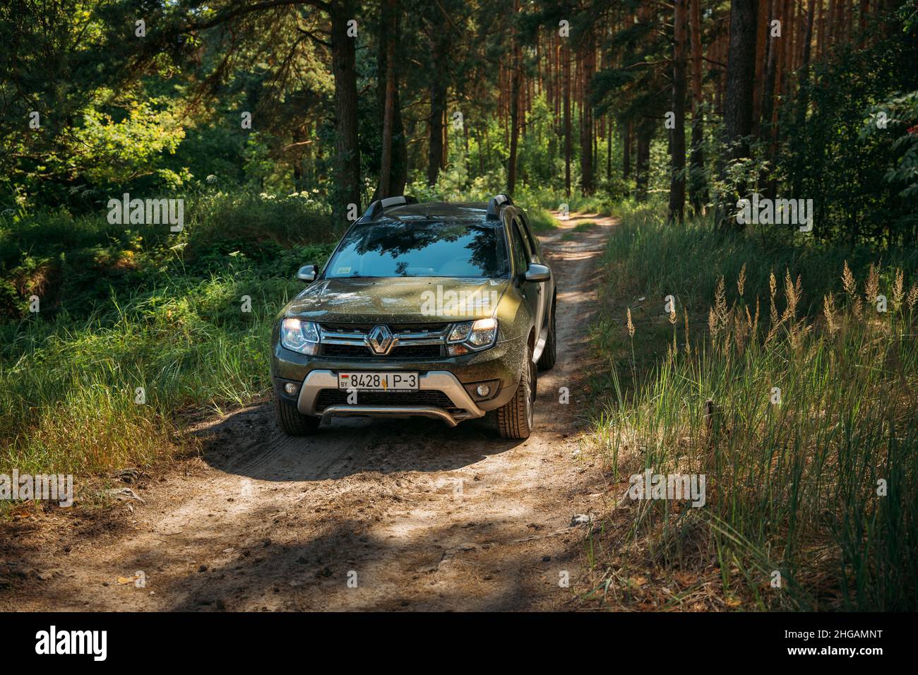 Renault Duster SUV in summer coniferous forest. Duster produced jointly ...