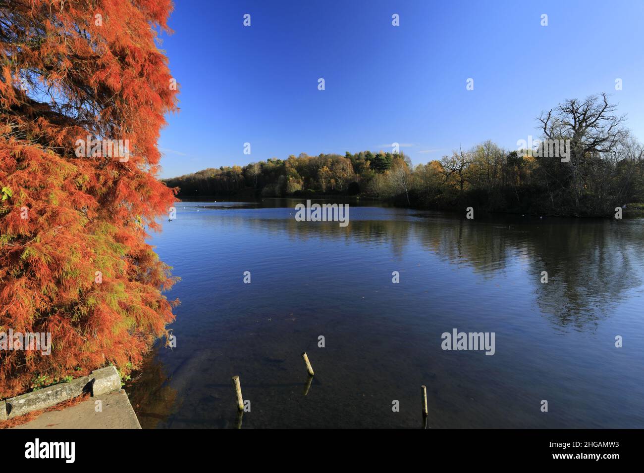 Nottinghamshire country parks hi-res stock photography and images - Alamy