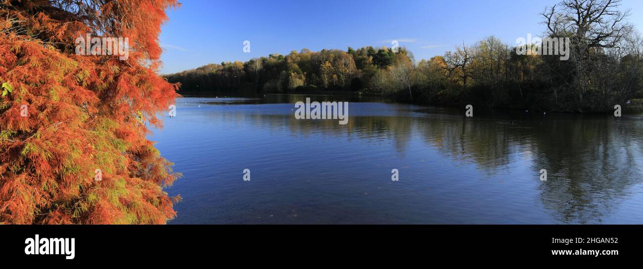 Autumn colours over the lake at Clumber Park, Nottinghamshire, England ...