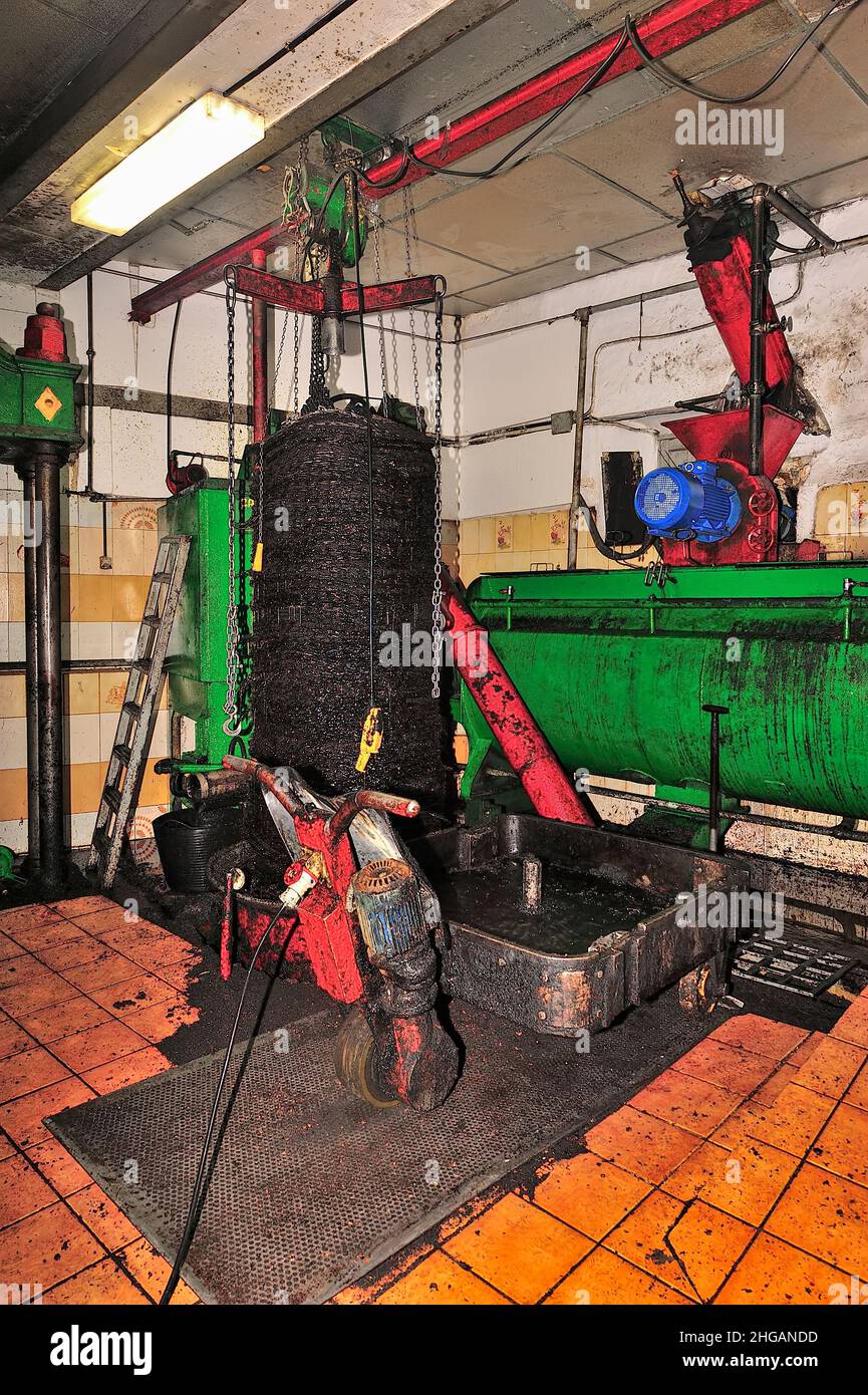Old mill for the production of oil in an artisanal way - Spain Stock ...