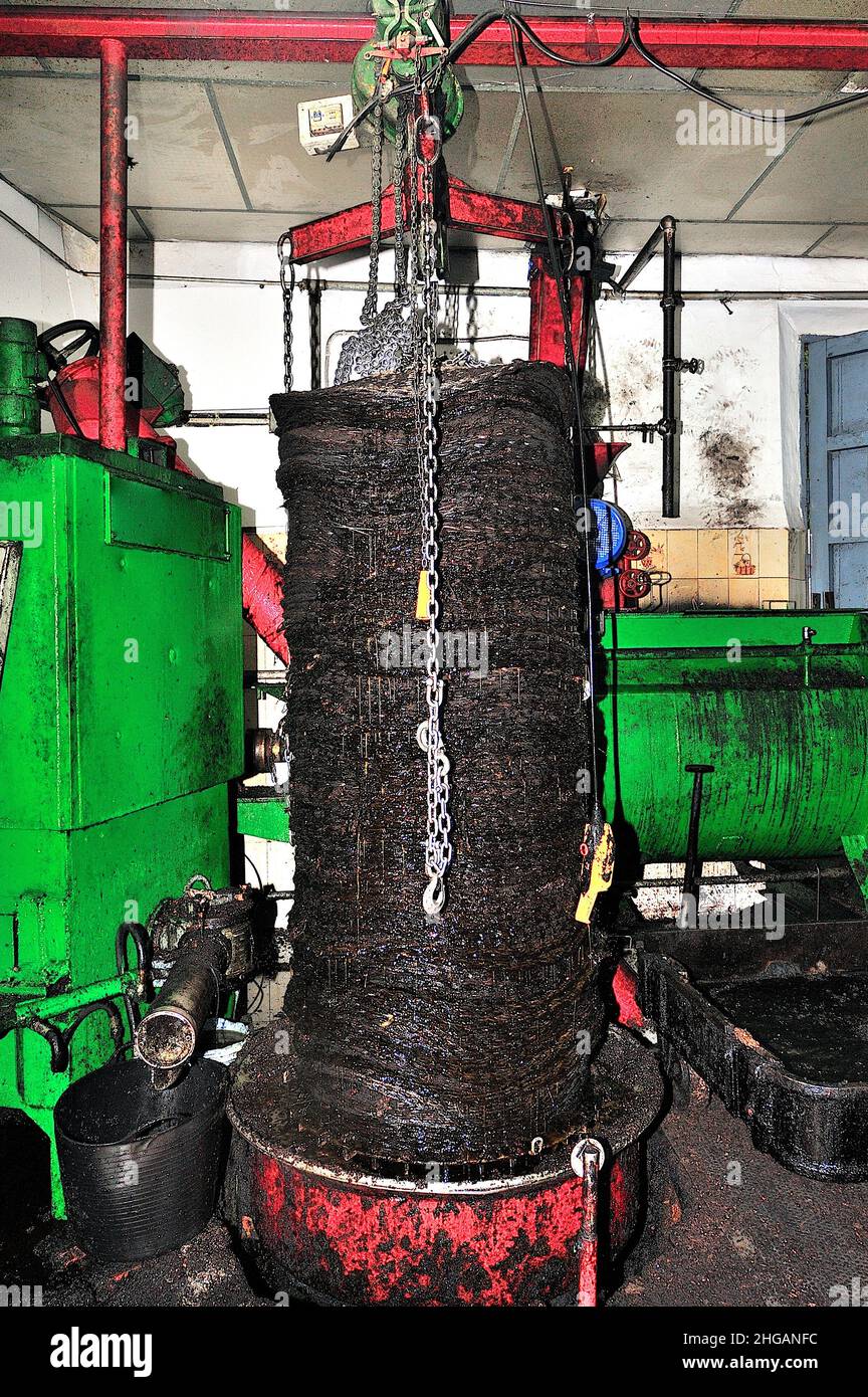 Olive oil extraction machine hi-res stock photography and images - Alamy